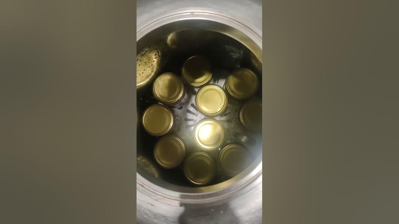 Готовлю тушёнку с дикого мяса Кабана. И ассорти лось косуля и домашняя ...