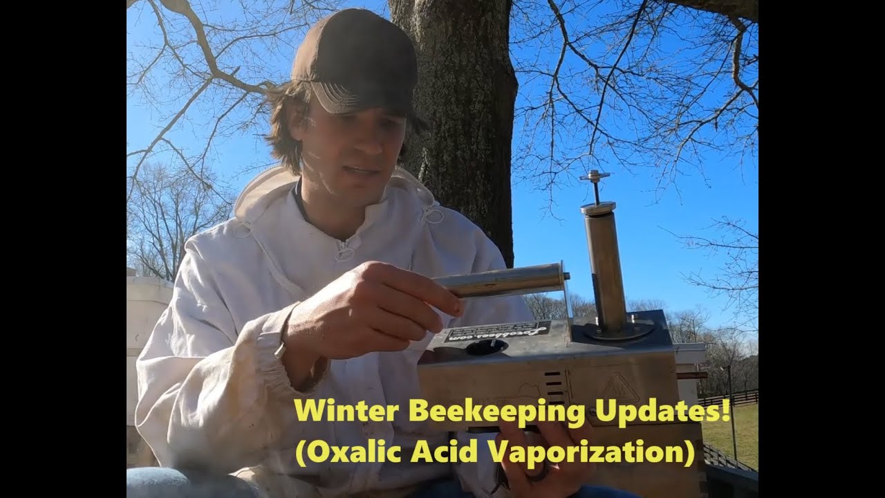 Winter Beekeeping update (Oxalic Acid vaporization w/ Lorobbees ...