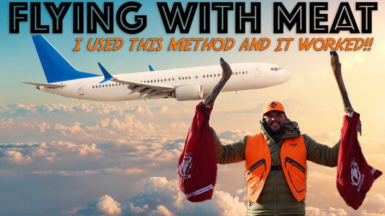 I can’t believe it worked!! Flying with meat!! - YouTube