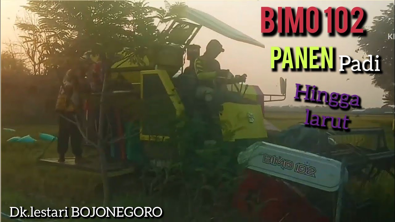 panen padi cepat pinggir jalan BIMO 102 MUTIARA PADI group Indonesia ...