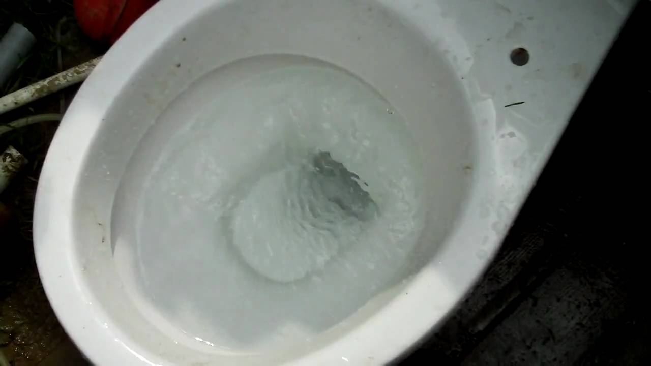 my toilet with syphonic flush - YouTube