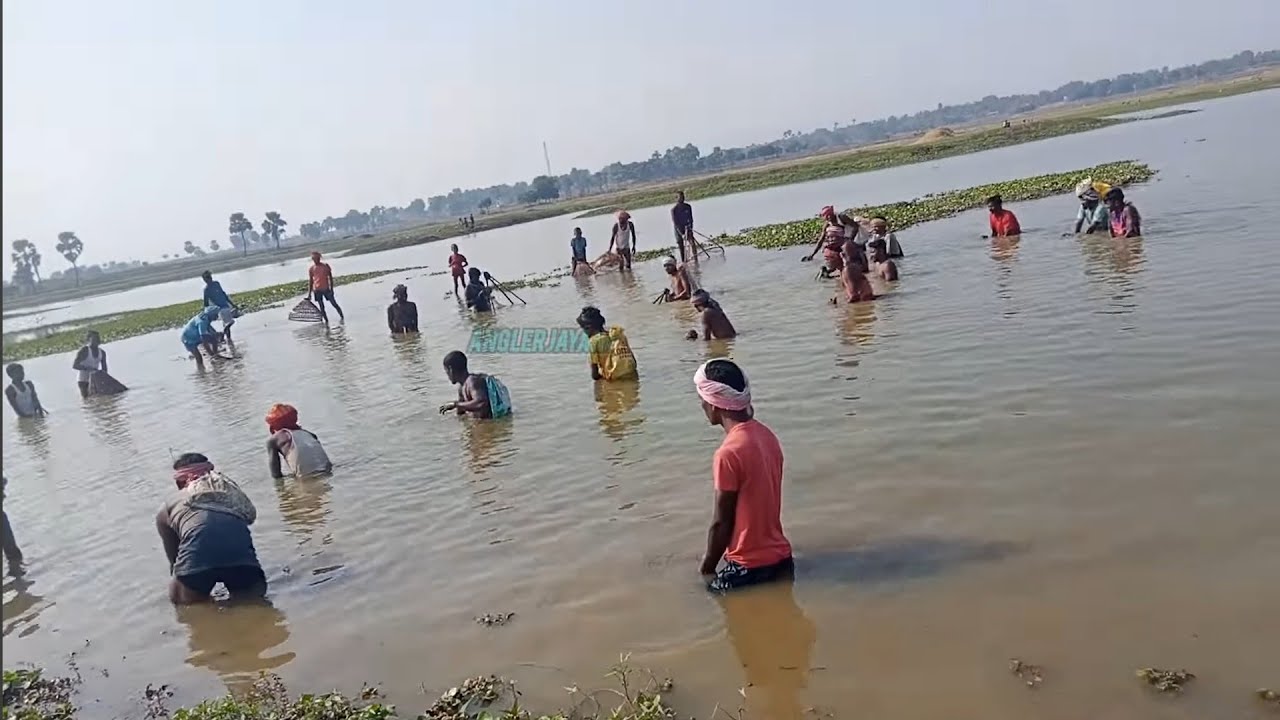 Indian Tribal People Fishing Technique #primitivefishing - YouTube