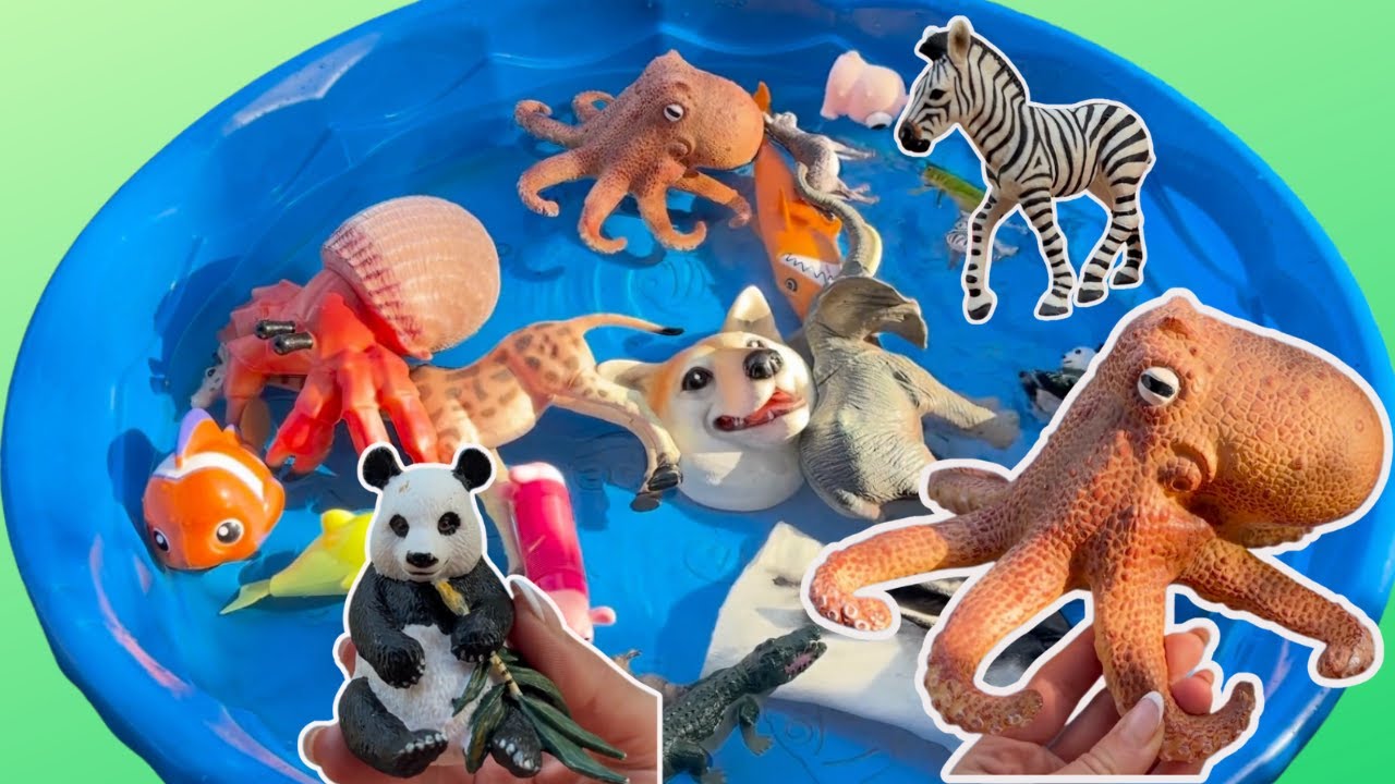 Explore Wild ZOO Animal Names and REAL Sounds for Kids | Fun Learning ...