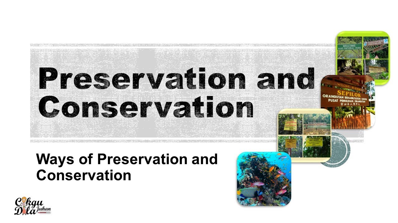 Science year 6 |Way of Preservation and Conservation| - YouTube
