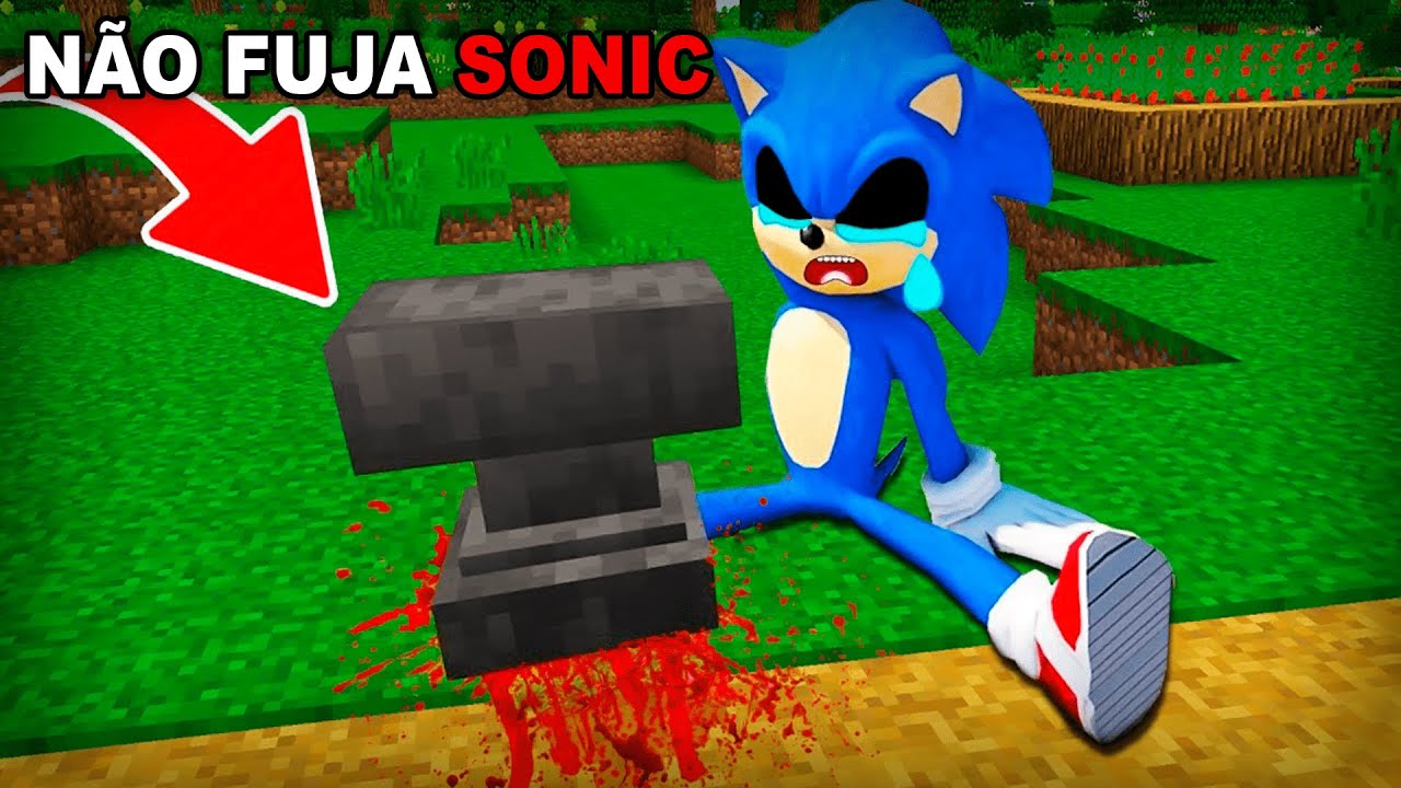 CONSTRUI UMA ARMADILHA PRA PEGAR O SONIC NO MINECRAFT - YouTube