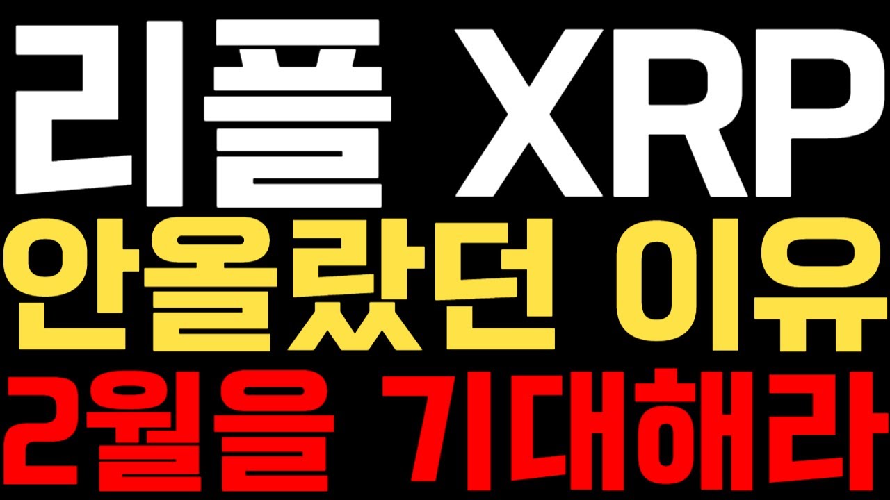 리플 Xrp 안올랐던 진짜이유 이제 2월을 기대해라 트럼프밈코인 알트불장 비트코인 Etf 리플코인전망 리플코인목표가 리플코인