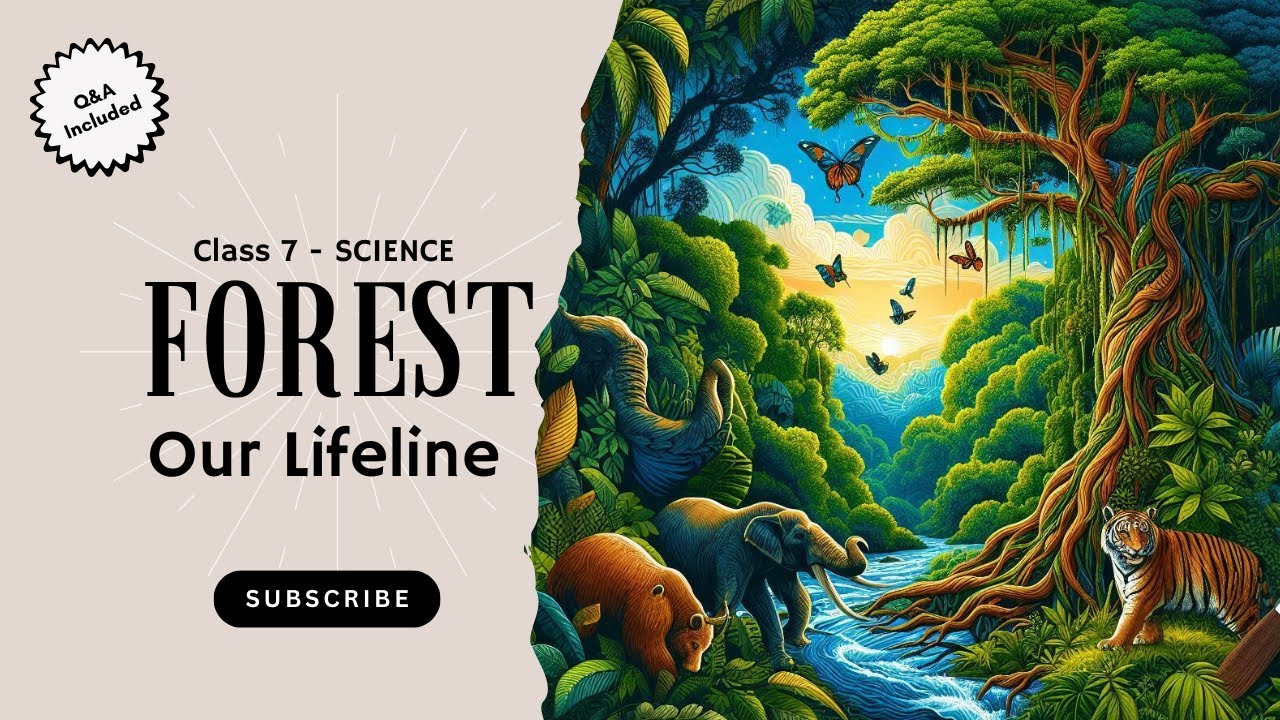 🌳 Class 7 Science: Forests Our Lifeline 🌍 | Importance, Structure & Food Chains Explained! 🌱 ...