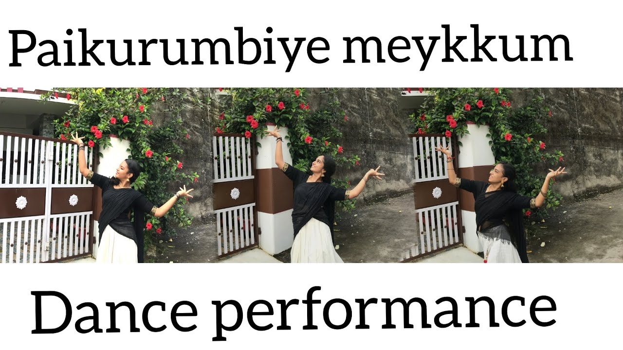 PAIKKURUMBIYE MEYKKUM/ DANCE VIDEO/GRAMAPHONE/BY DEVIKA"S DANCE STUDIO - YouTube