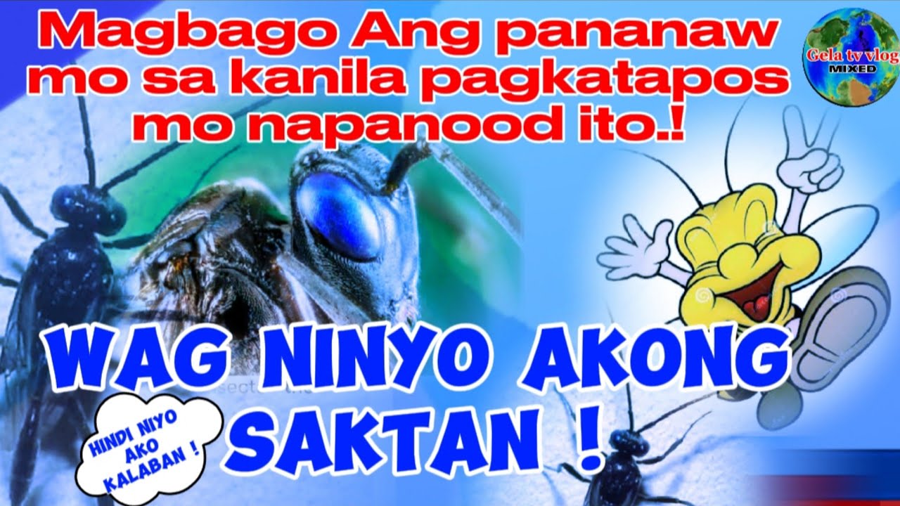 PAANO BA NAKAKATULONG ANG PUTAKTI NA ITO?ANO BA ANG PAPEL NIYA SA ATING ...