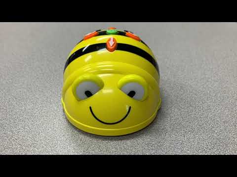 Bee and Me - YouTube