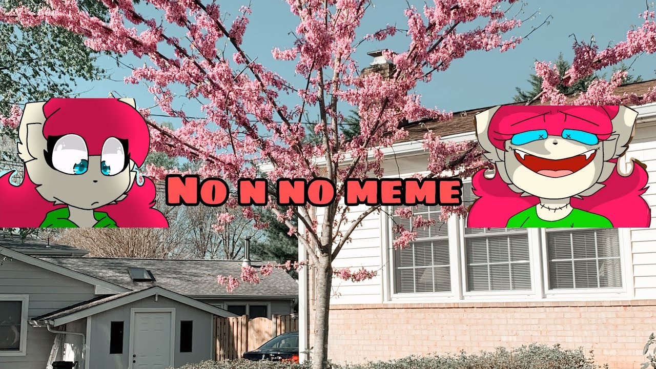 NO NO NO Meme (original:Kitty chapter alefent,Not plagiarism) - YouTube