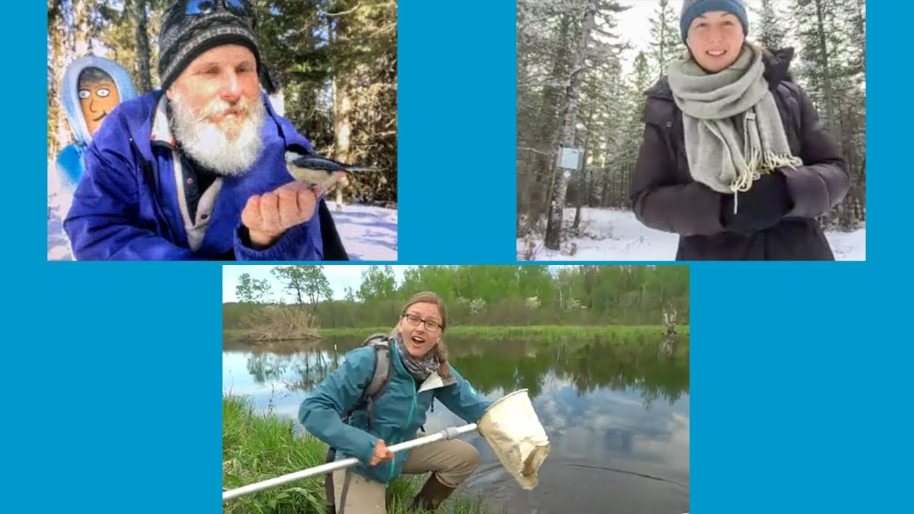 Virtual Field Trips at Wolf Ridge ELC - YouTube