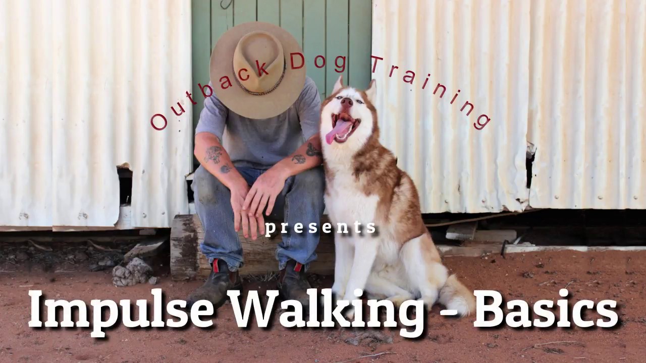 Impulse Walking 02 - Basics - YouTube