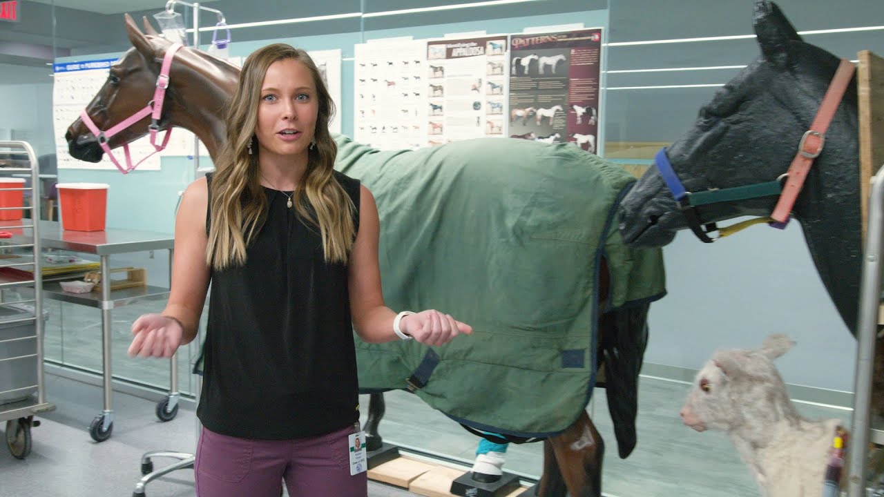 K-State Vet Med Virtual Tour - Student Spaces - YouTube