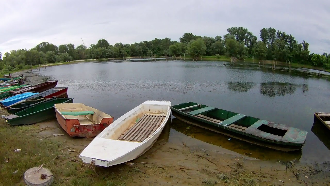 Šodroš Novi Sad, ribarac - YouTube