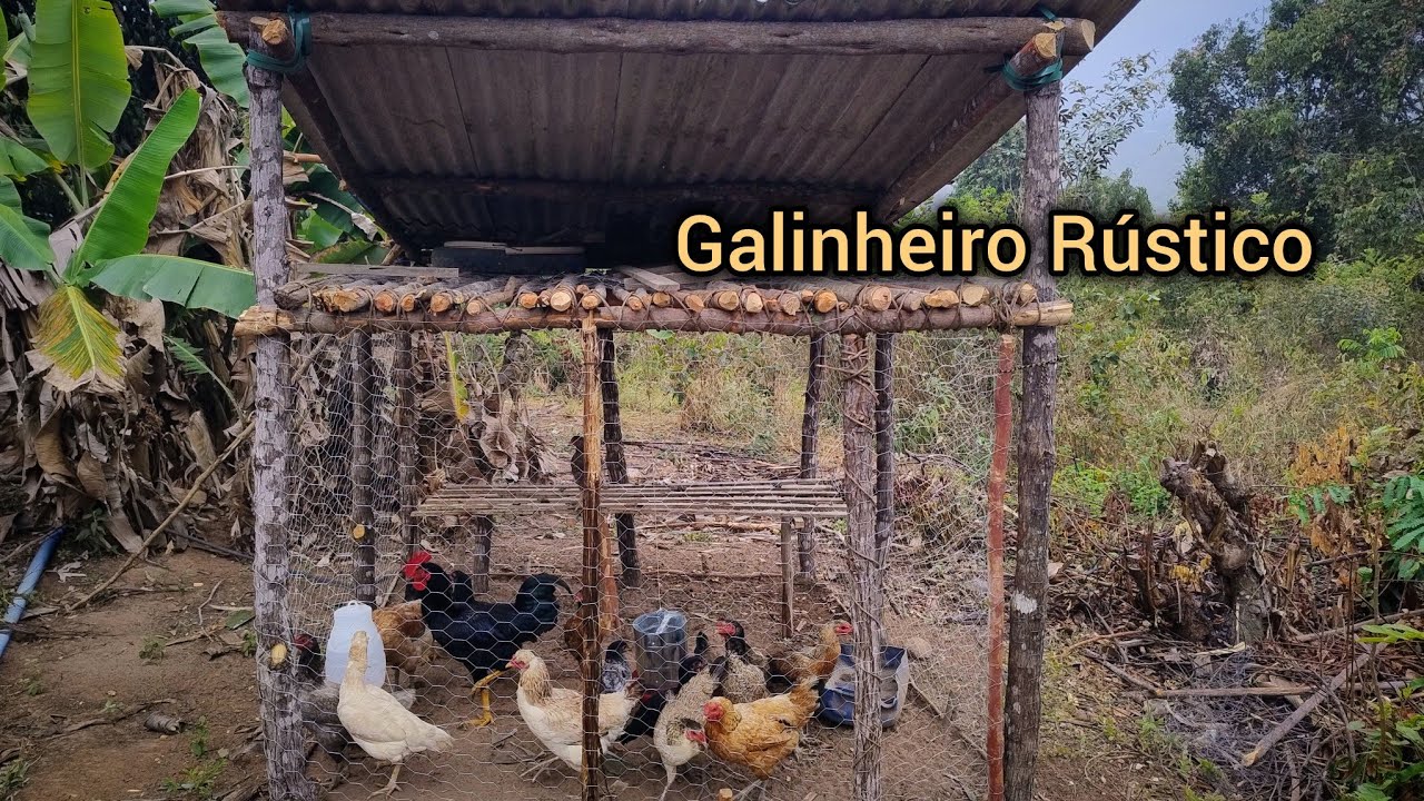 🐓🏠 CONSTRUINDO UM GALINHEIRO NOVO PERFEITO PARA MINHAS GALINHAS🐓 ️ ...