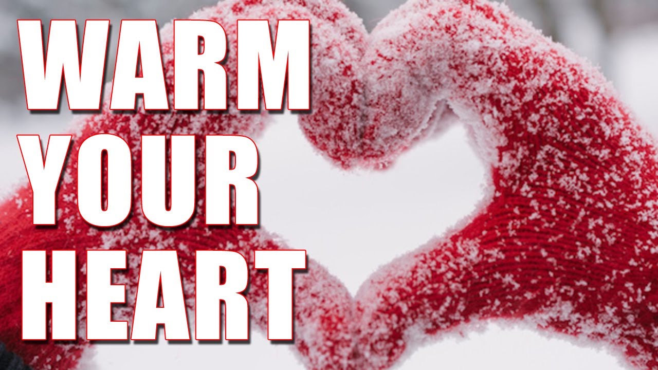Warm Your Heart [7 Heartwarming Stories 2020] - YouTube