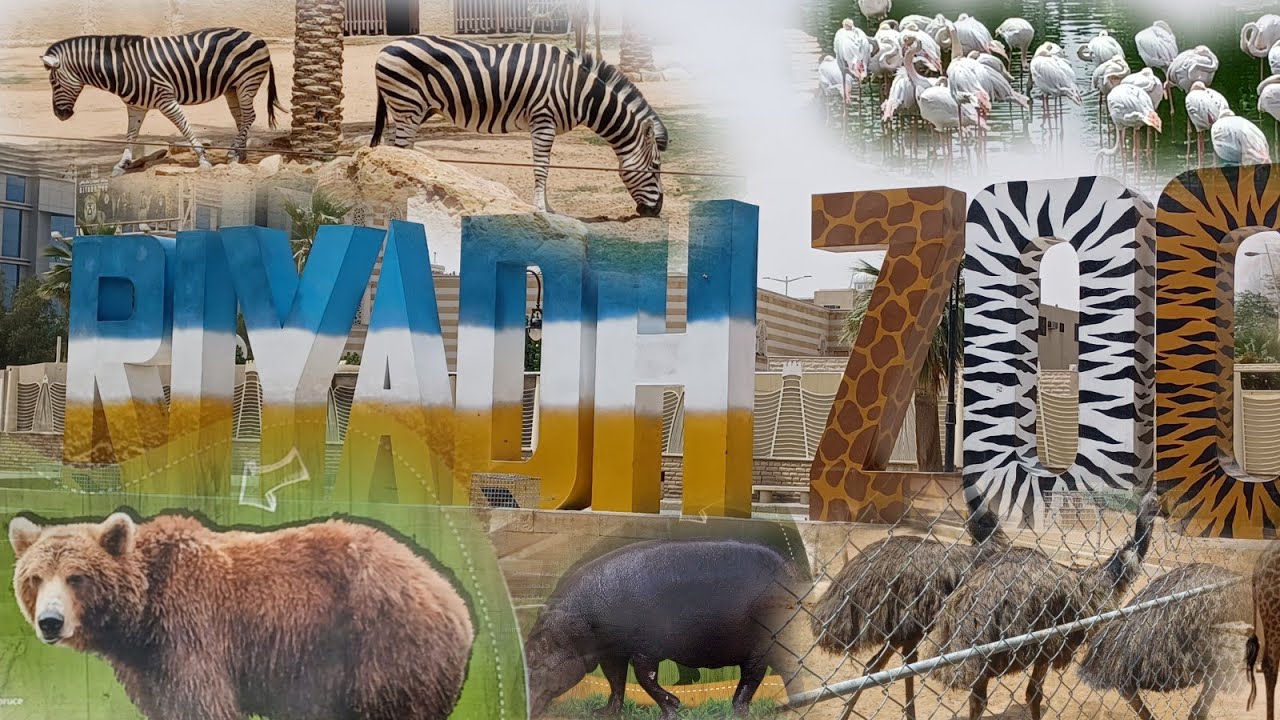 riyadh zoo||Riyadh Saudi arabia ||Part 1|| Dhan's Corner - YouTube