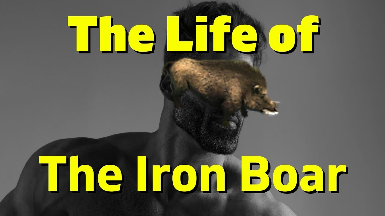 AoE2: The Life of The Iron Boar - YouTube
