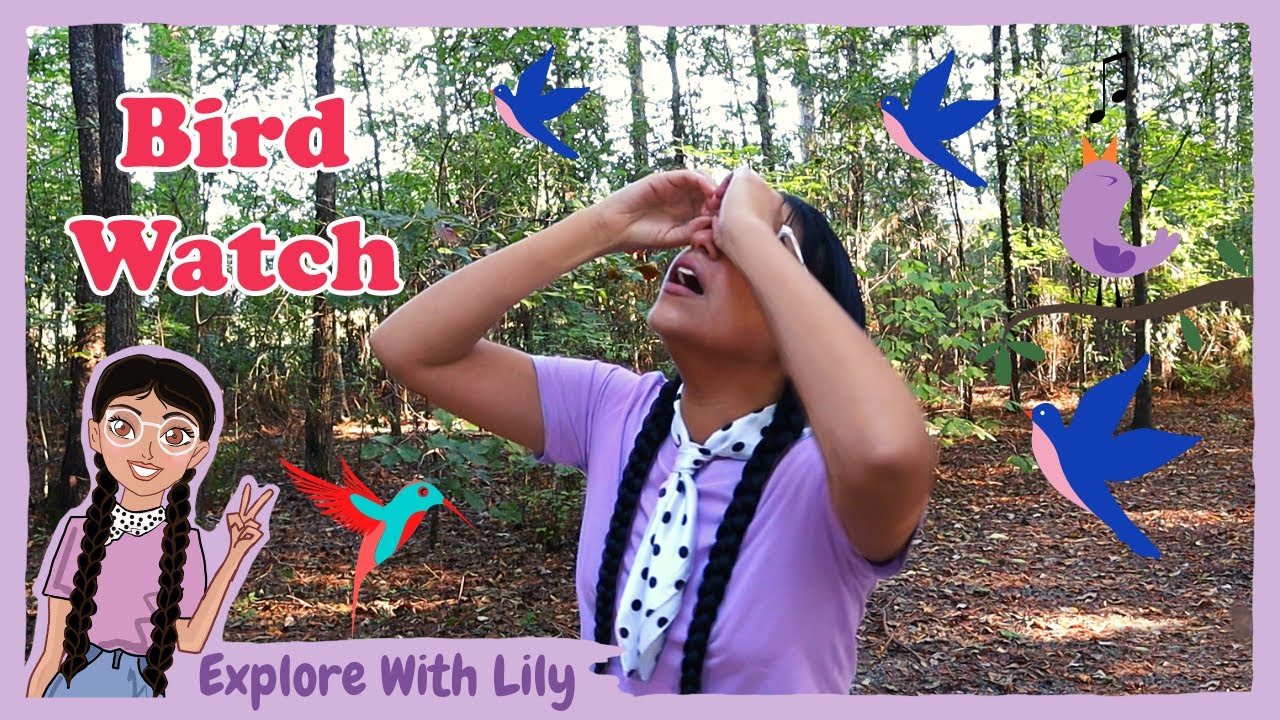 BIRD WATCH for KIDS // Learning about birds and fun bird facts for ...