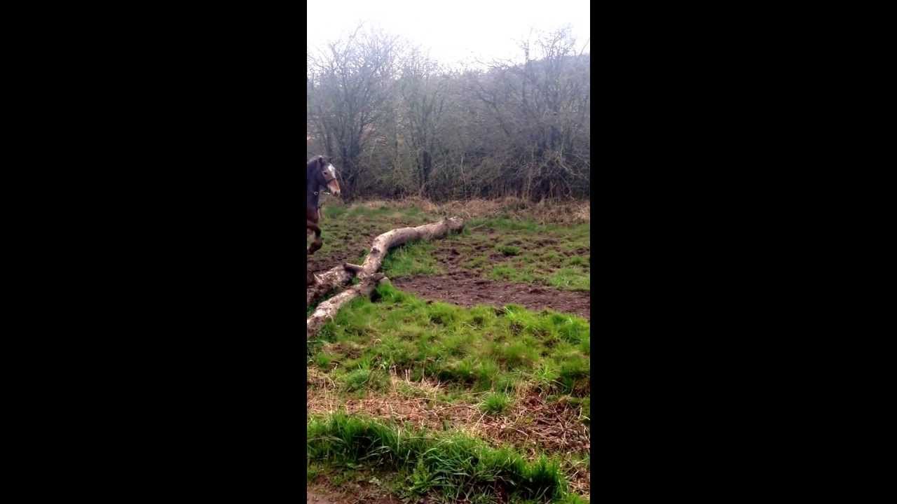 XC Log jumping with flash - YouTube