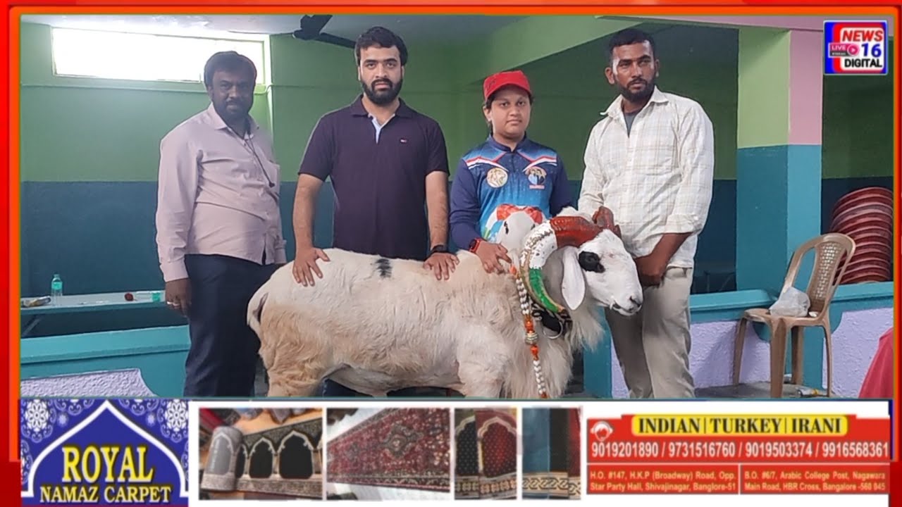 7 Star Sultan Fighter Bakra #news16digital - YouTube