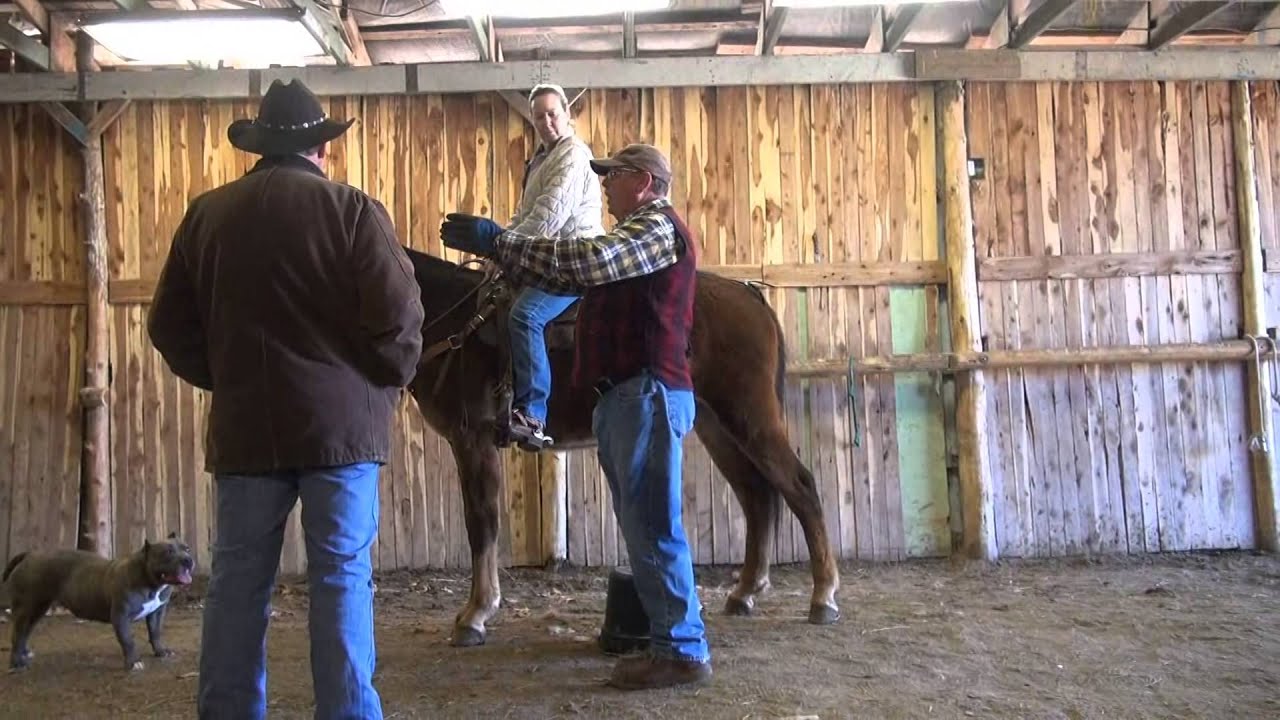 Safe mule for medially challenged rider. - YouTube
