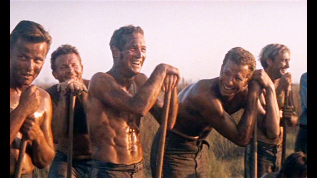 A Natural Born World-Shaker: Making Cool Hand Luke • Produced by Gary ...