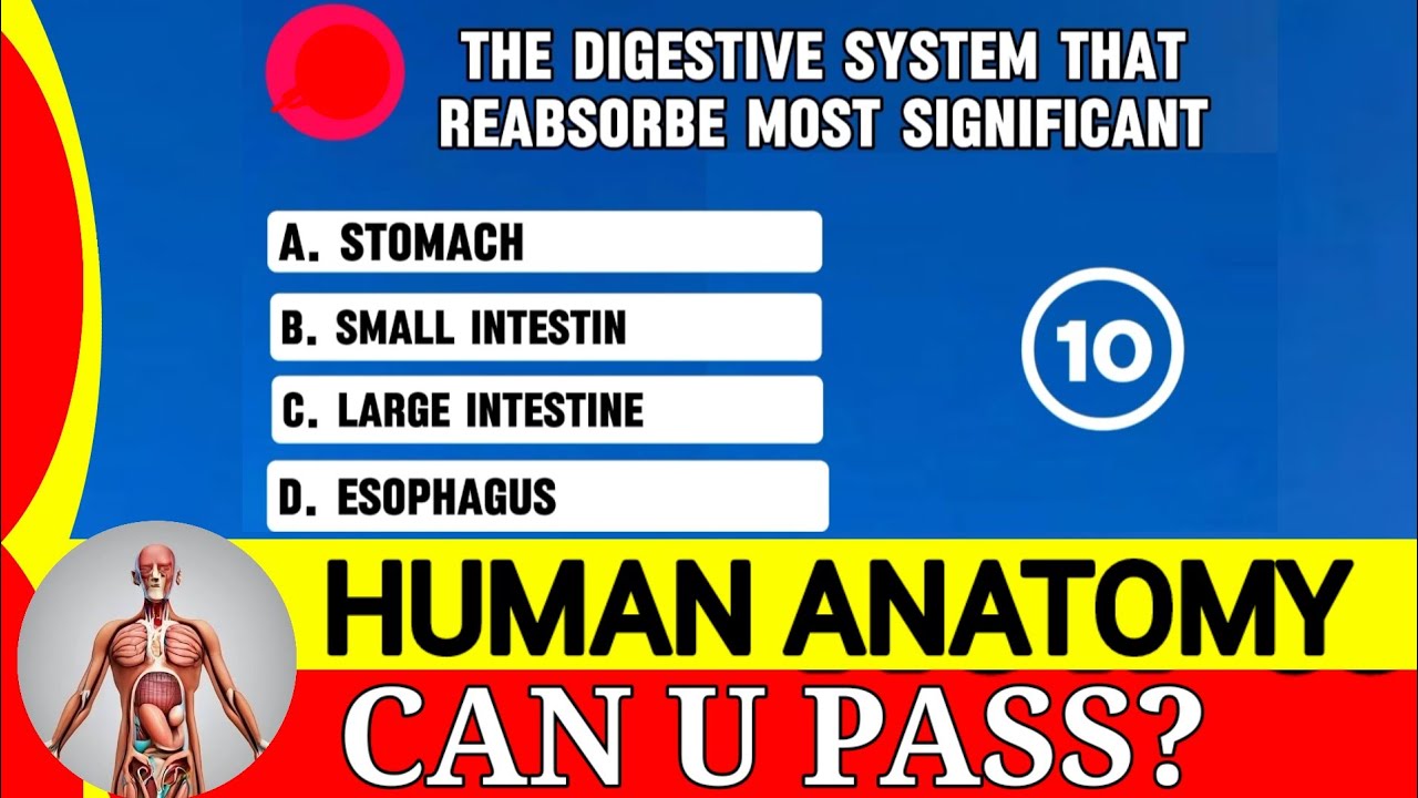Human body general knowledge questions | ANATOMY QUIZ - YouTube