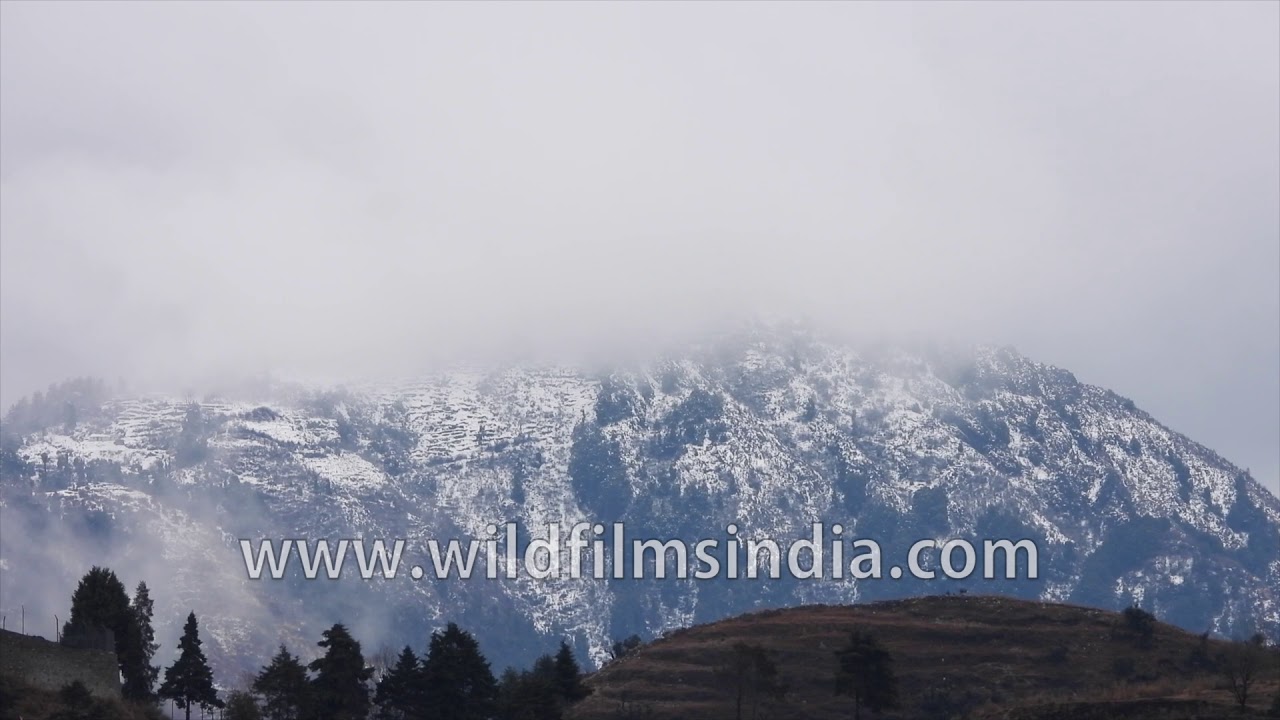 Winter snow remains at Jabbarkhet and around Landour: February 2020 ...
