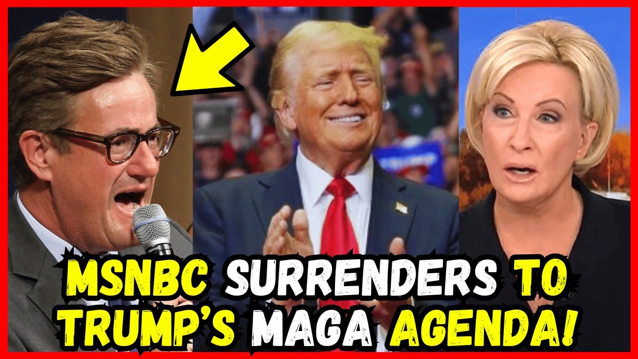 Morning Joe Hosts *FIRED* Trump’s Mar-a-Lago Meeting Leaves MSNBC ...