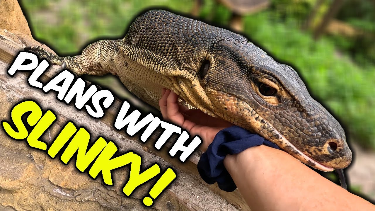 Dividing SLINKY'S Cage For SALLY At Kamp Kenan! - YouTube