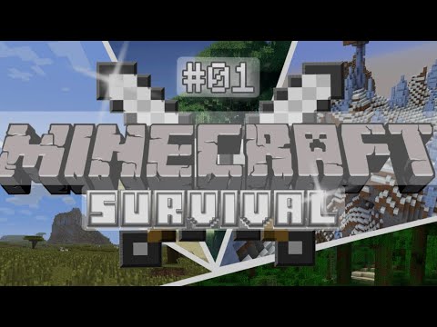 Episode 1| new Minecraft series! - YouTube