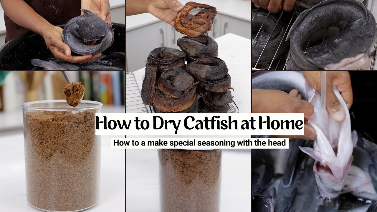 How to Dry Your Catfish at home| Make a special seasoning with the head ...