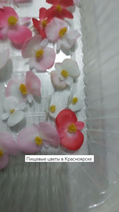 Пищевые цветы для украшения блюд) - YouTube