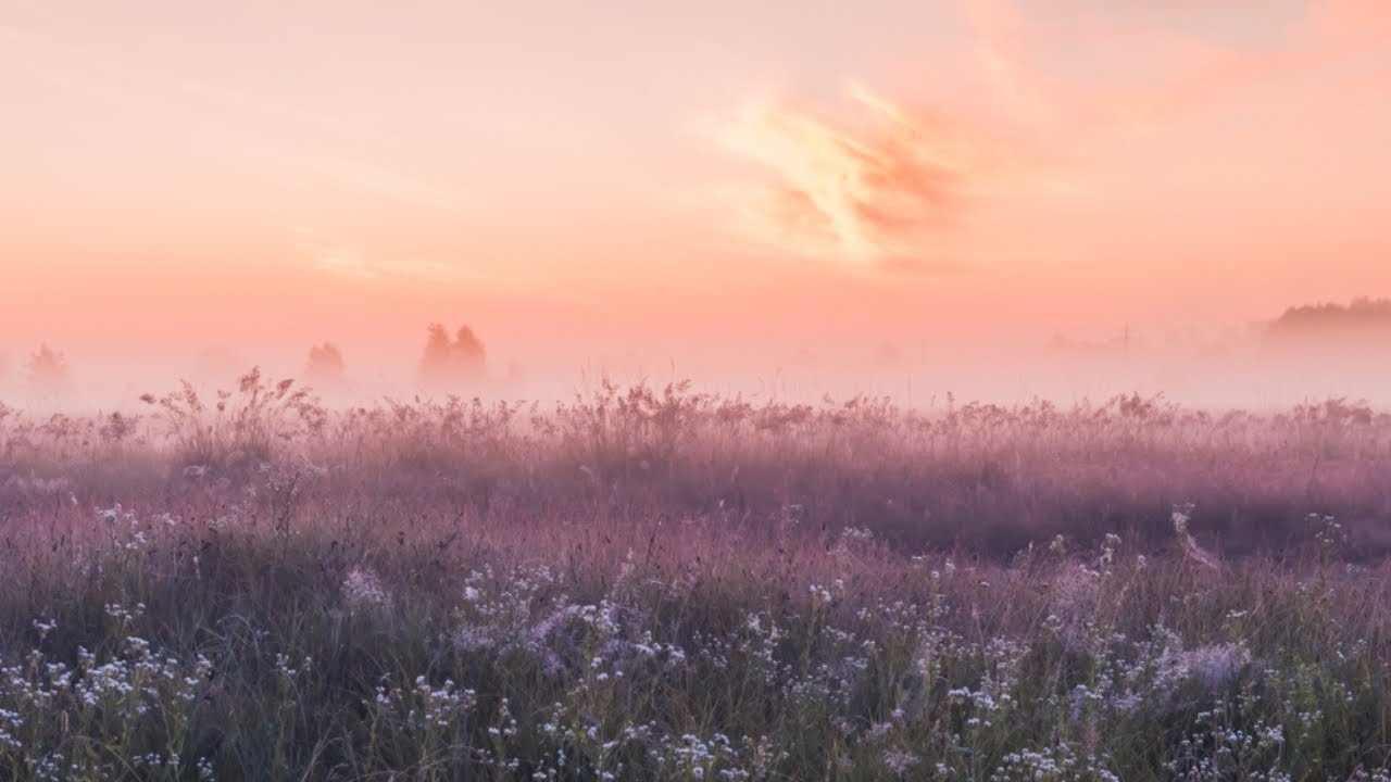 Calm and Ease Meditation—Jack Kornfield - YouTube