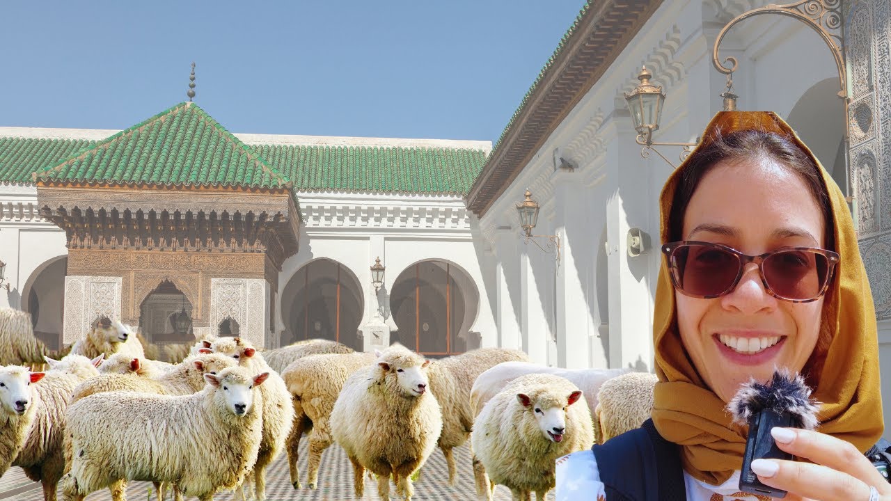 What's Eid Al Adha like in Fez, Morocco? 🐏 - YouTube