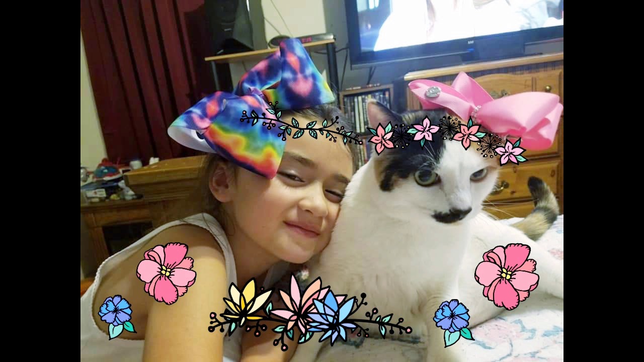 Our baby Ana (Cat) - YouTube