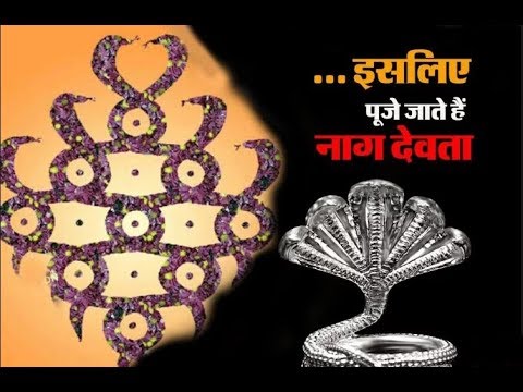 Snake Puja in Temple | इन सांपों की पूजा से संवर जाती है किस्मत, दूर हो ...