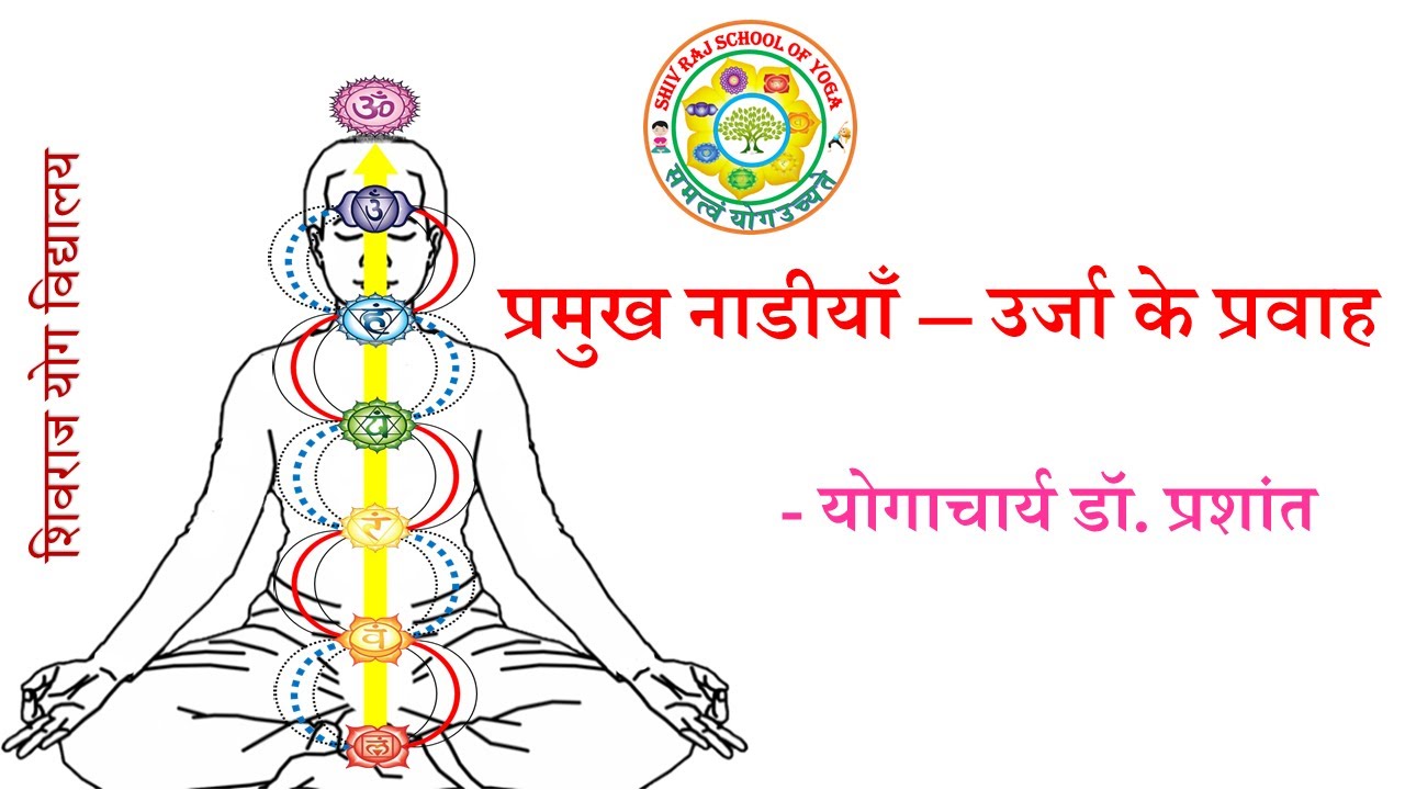 प्रमुख नाडीयां | नाडिया | कुंडलिनी योग Major Nadis | What are Nadis ...