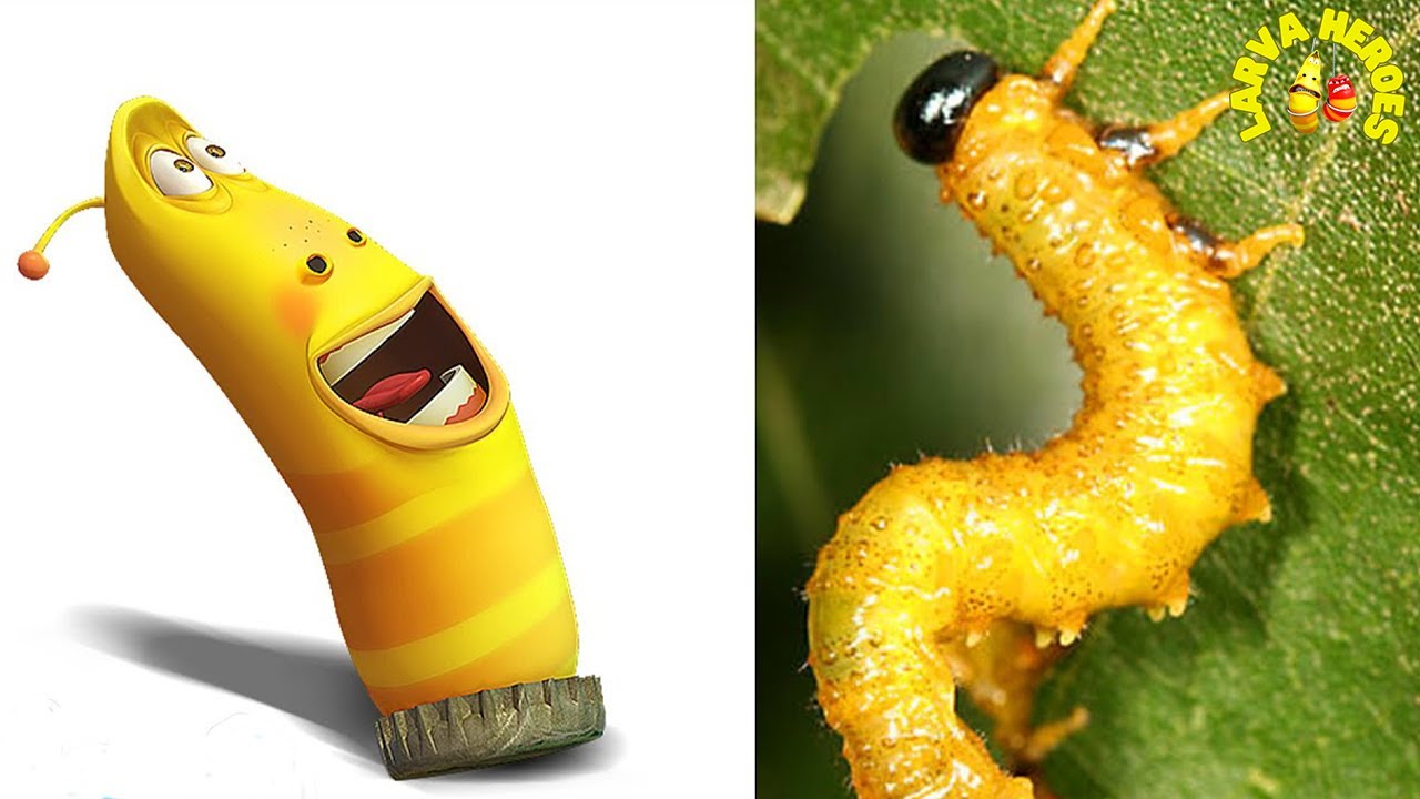 LARVA _ YELLOW COPY 💖 Larva Compilation 2023 💦New Version Larva 2023 ...