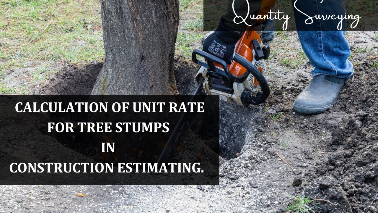 Calculating Unit Rate for Tree Stumps in Construction Estimating ...