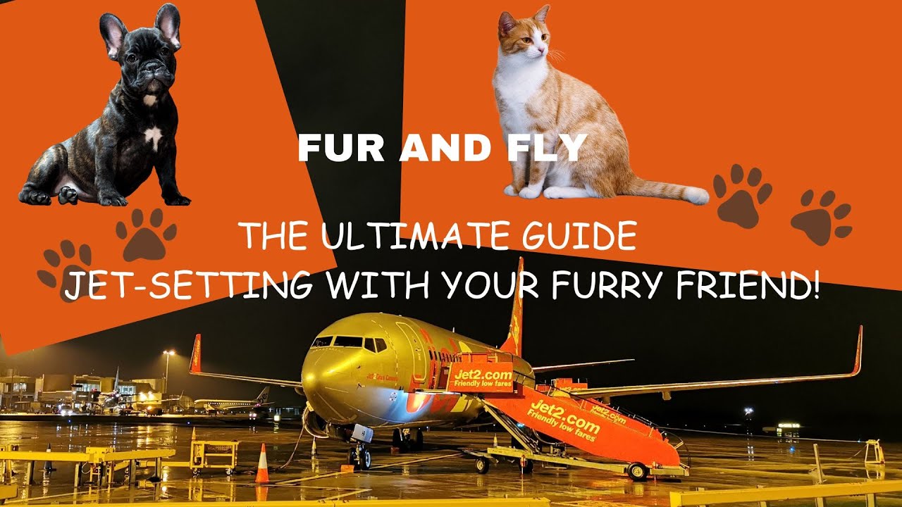Fur and Fly: The Ultimate Guide to Jet-Setting with Your Furry Friend ...