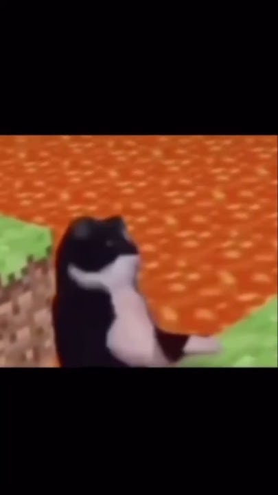 Pov You Get A Cat In Minecraft Youtube