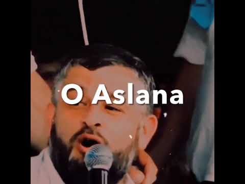 İmam Əlinin (s) mövludu | Seyyid Ağa Rəşid | Heydərin mənası