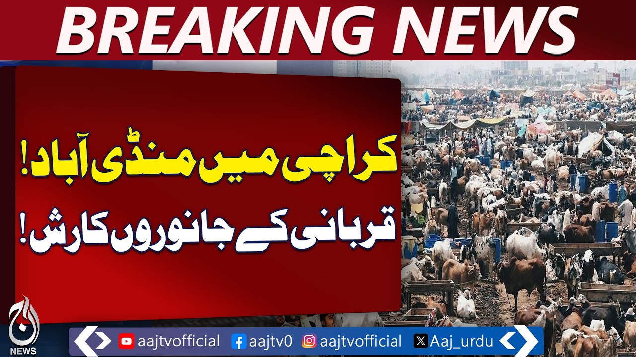 Karachi Cattle Market 2026 | Northern Bypass Mandee Active | Qurbani ...