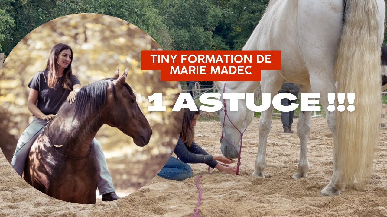 Tiny formation de Marie Madec : 1 astuce pour aider les chevaux qui ont tendance à se renfermer ...