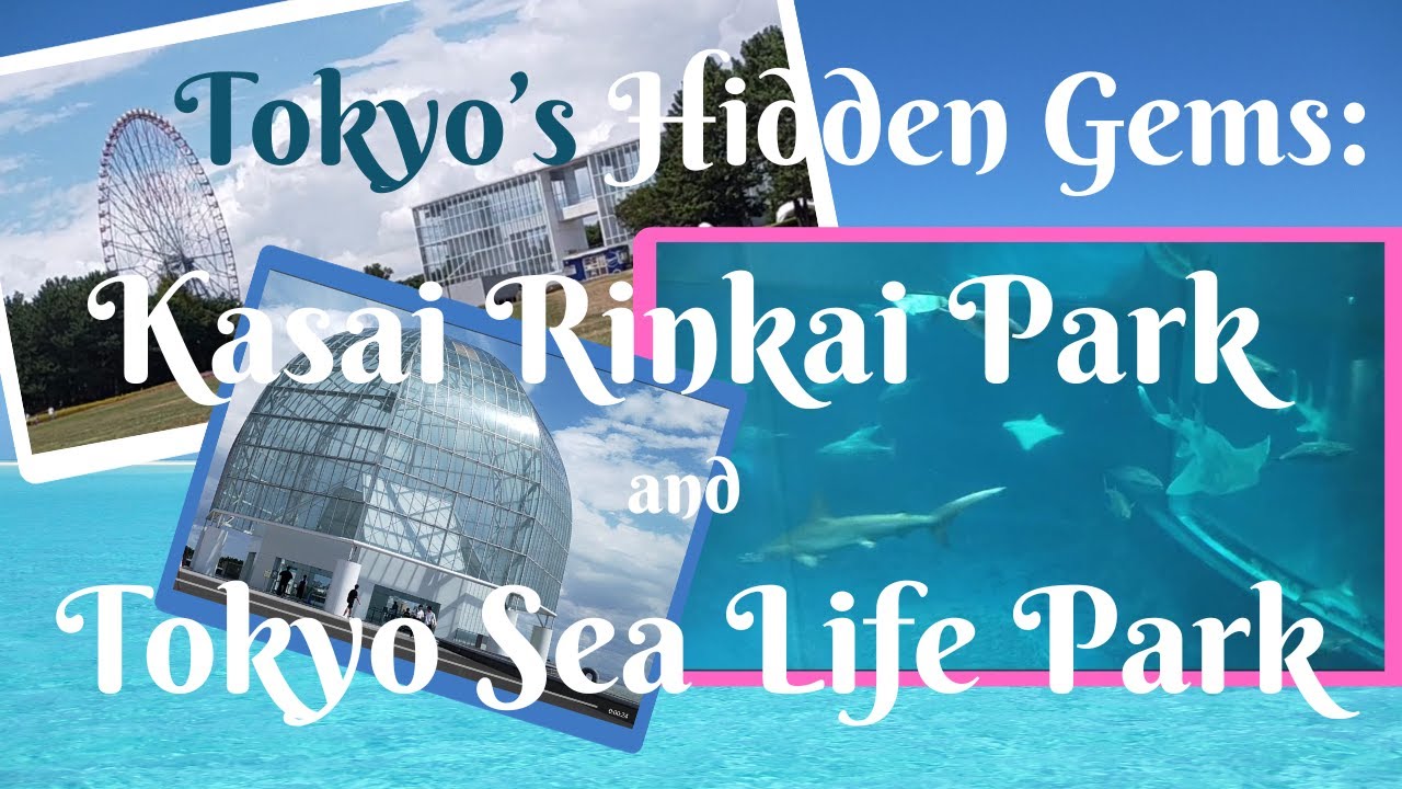 Unveiling the Magic of Kasai Rinkai Park and Tokyo Sea Life Park ...