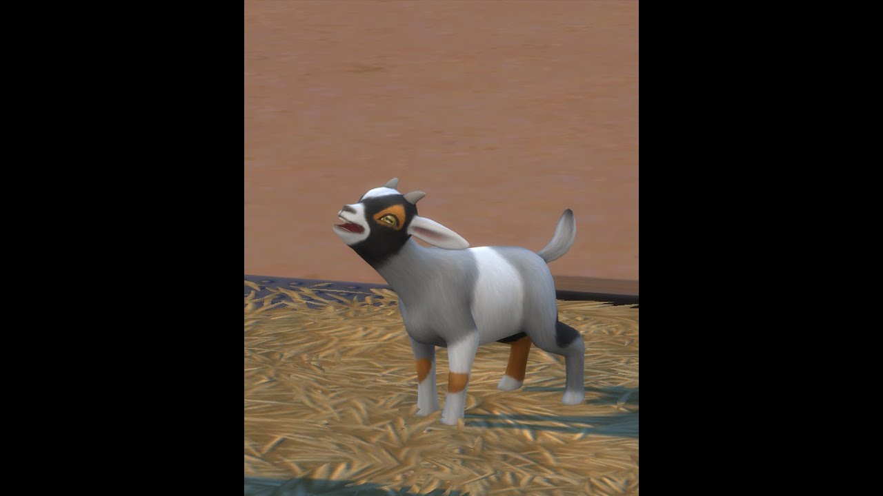 The Sims 4 Screaming goat - YouTube
