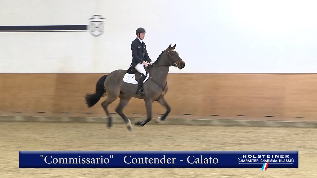 118. Commissario v. Contender - Calato - YouTube